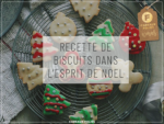 Recette d'une bûche de Noël Bounty et fruits rouges